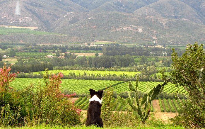 Ama-Zing Addo, Addo - The Expedition Project