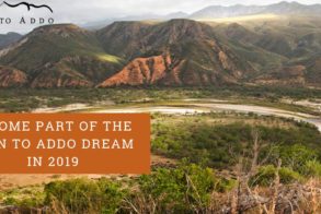 Bitou Valley Wetland Corridor Project, Plettenberg Bay - The Expedition ...