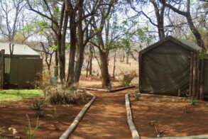 nDzuti Bush Camp, Balule Game Reserve - The Expedition Project